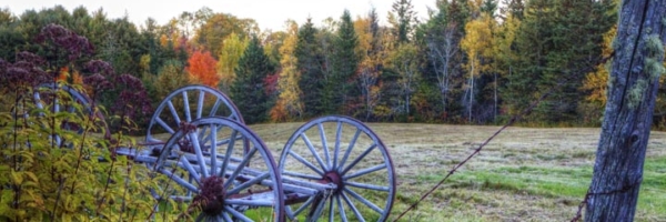 Town of Cherryfield, Maine | Incorporated in 1816