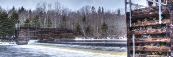 Town of Cherryfield, Maine | Incorporated in 1816